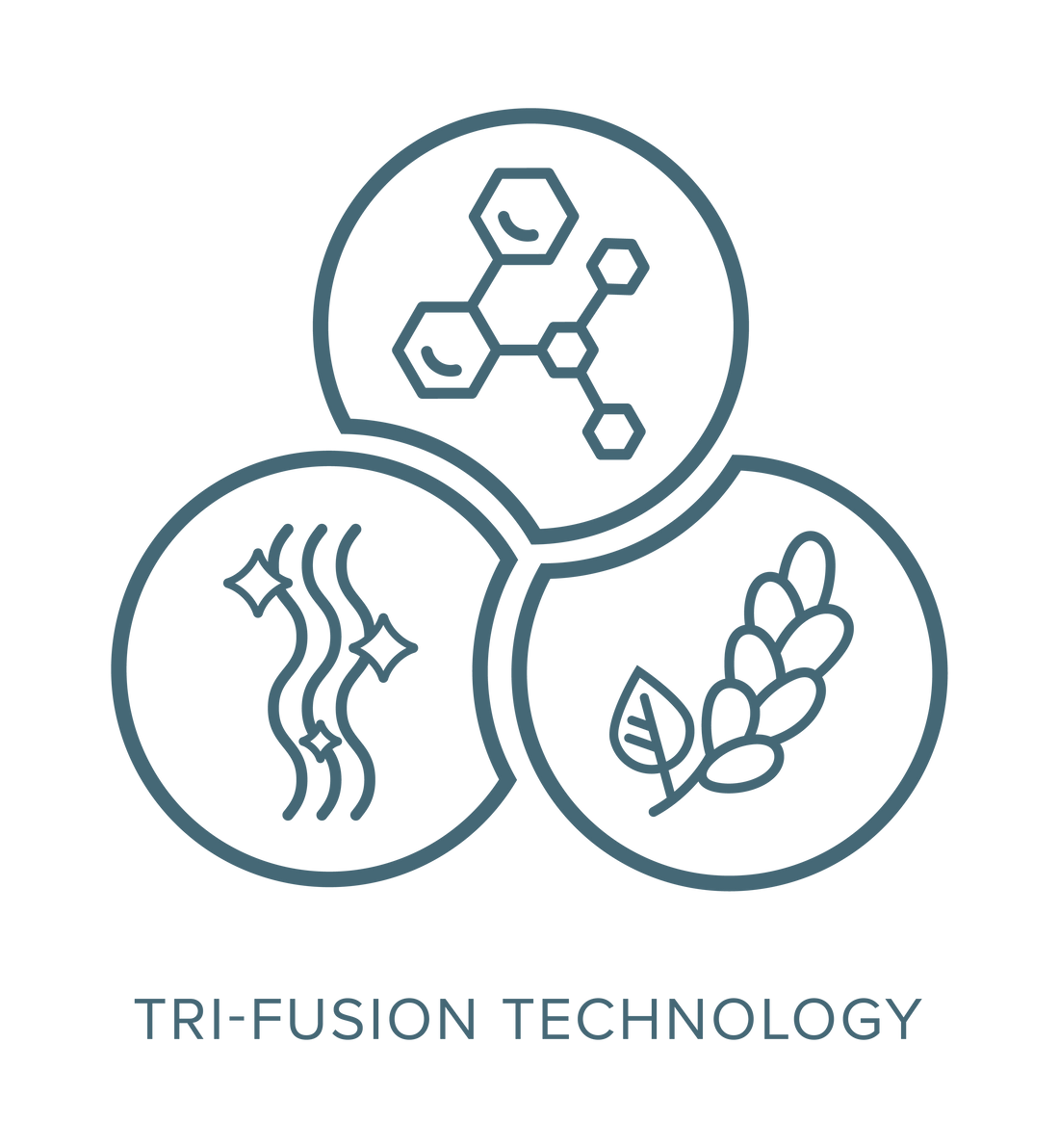 Classic Keratin Smoothing Treatment – Cezanne Hair Professional